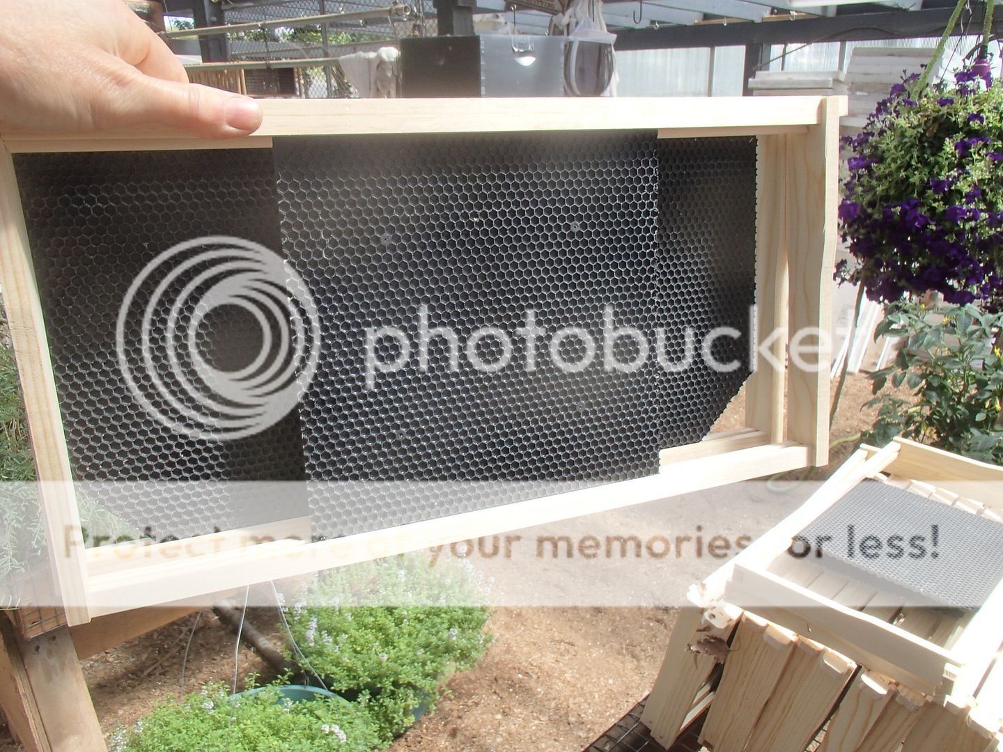 Photos of my partial sheet of foundation in deep frames -experiment | Page 4 | Beesource ...